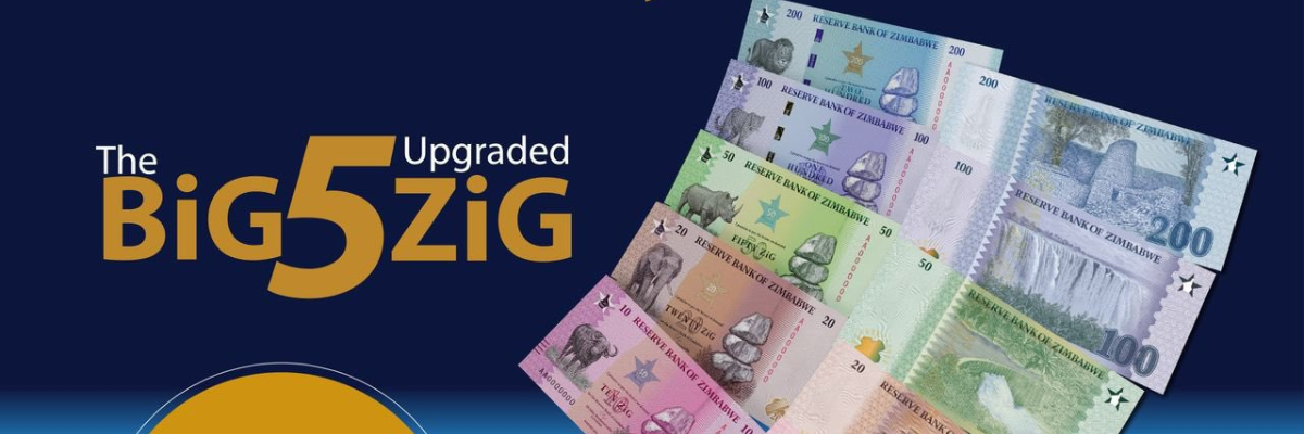 Нова серія банкнот Zimbabwe Gold (ZiG) в Зімбабве: введення номіналів ...